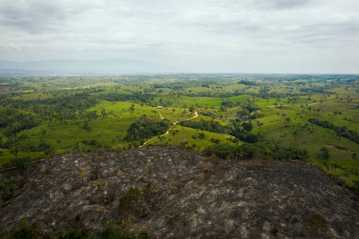 Colombia en la COP27: la gran cumbre climática que puede liderar