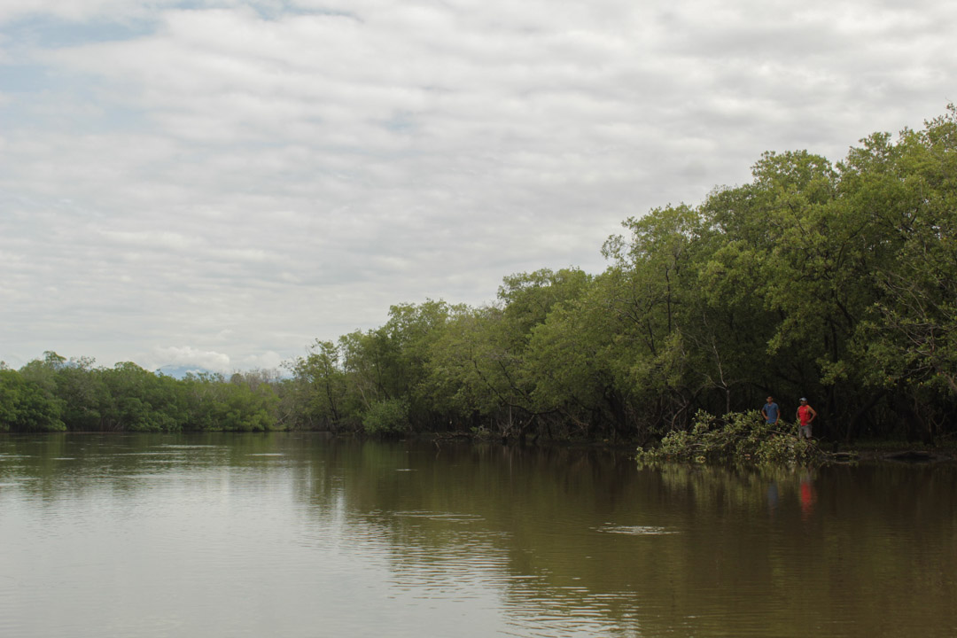 Guardianas del manglar: mujeres por la defensa del territorio