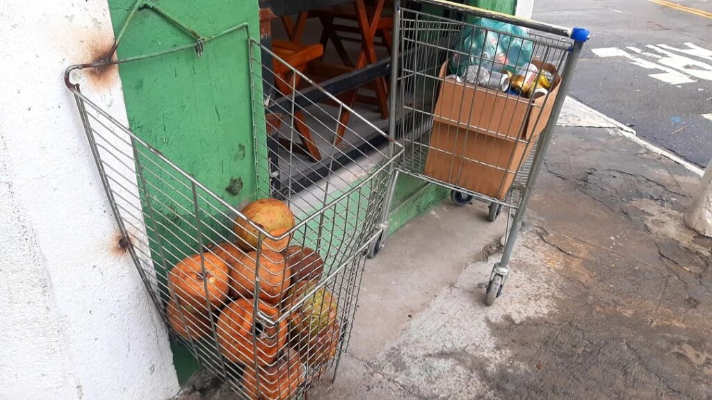 Brasil tem patente de etanol de coco, mas inovação não avança na indústria