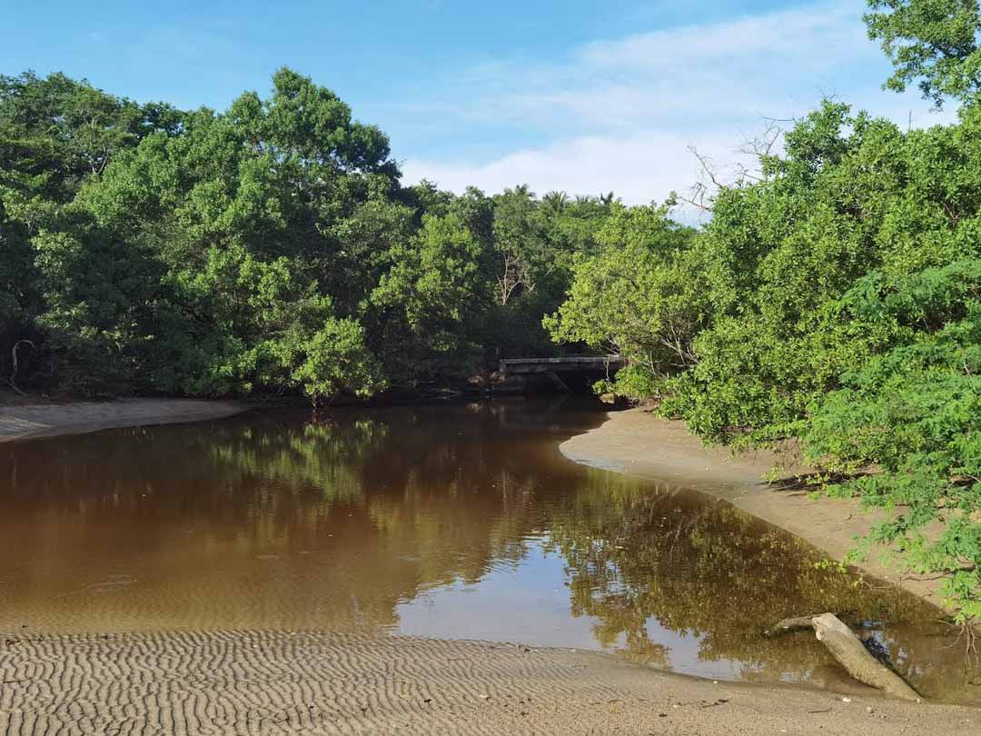 Alianzas para un futuro verde en el Pacífico Norte de Costa Rica