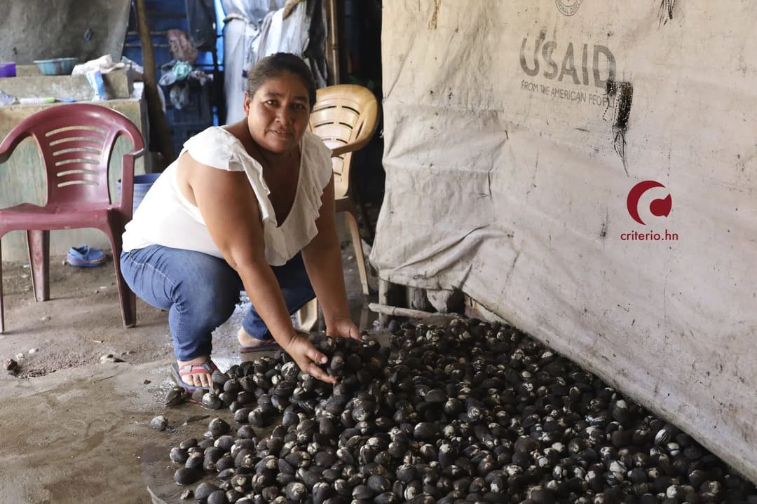 La resistencia de las mujeres pescadoras de Honduras